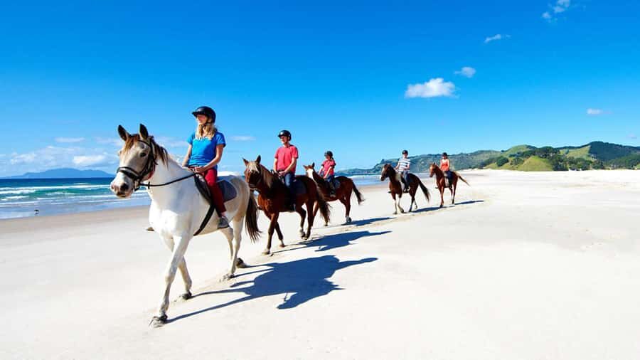 Horse Riding, Wine Tasting & Art Trail Private Tour - What Makes This Tour Stand Out?