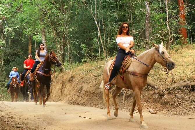 Horse Tour - Practical Considerations