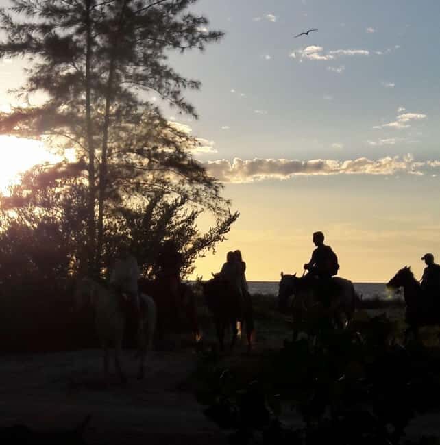 Horseback Adventure in Holbox - Detailed Breakdown of the Experience