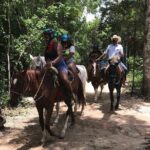 Horseback riding and ATV in the jungle. Zip line & cenote in Quintana Roo. - What to Expect Regarding Safety, Comfort, and Logistics
