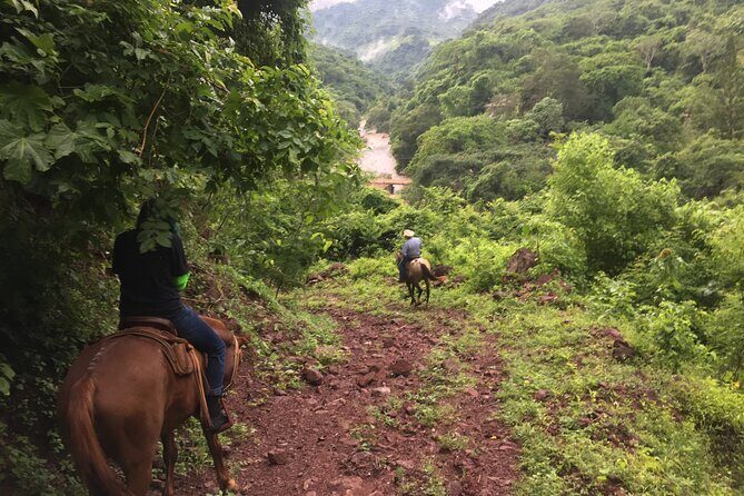 Horseback Riding Experience in Sierra Madre Mountains - Practical Details: What to Expect and Consider