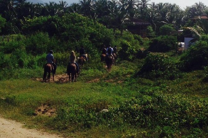 Horseback Riding on the Beach - Key Points