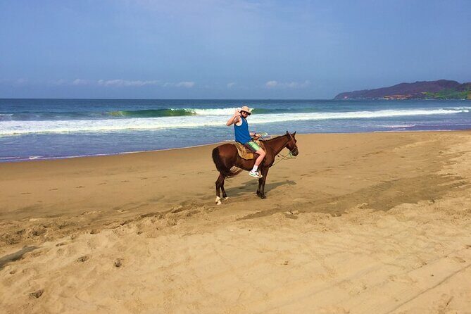 Horseback Riding Playa Larga - What to Expect from the Tour