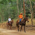 Horseback Riding Tour - What Makes This Tour Stand Out