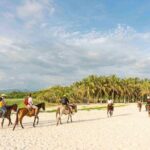 Horseback Riding Tour on the Beach in Puerto Escondido - Who Should Consider This Tour?