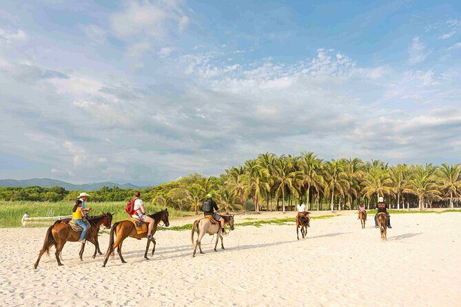 Horseback Riding Tour on the Beach in Puerto Escondido - Who Should Consider This Tour?