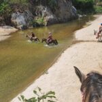 Horses on The Beach or Hot Springs - The Sum Up