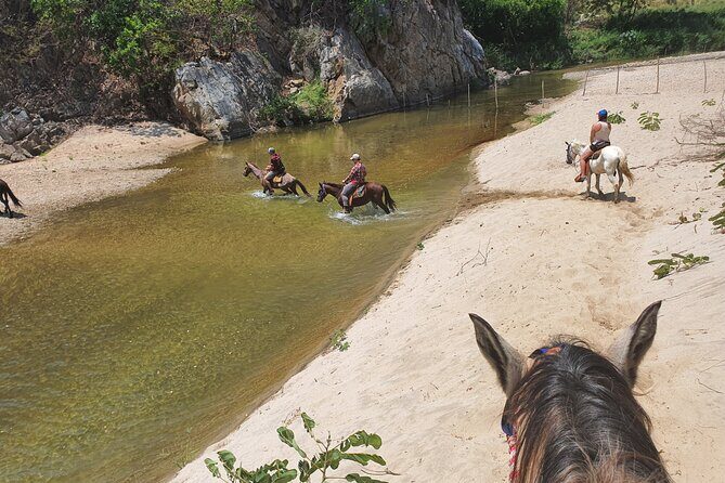 Horses on The Beach or Hot Springs - The Sum Up