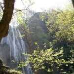 Horsetail Falls Park Tour - What to Expect at Each Stop