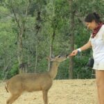 Hot Springs and Villages in the Sierra Madre for 4 hours - Who Is This Tour Best For?