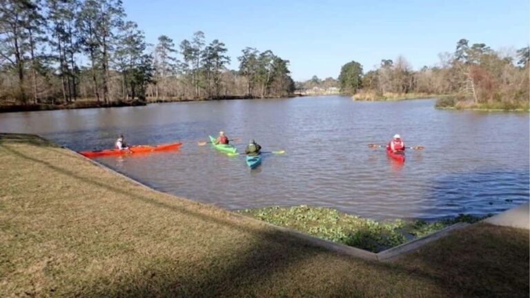 Houston: Luce Bayou Kayaking Tour - What Makes This Tour Stand Out?