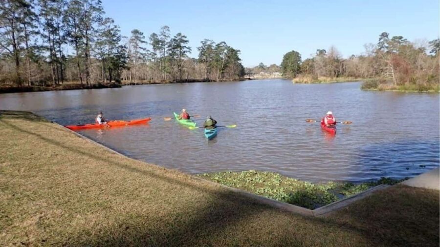Houston: Luce Bayou Kayaking Tour