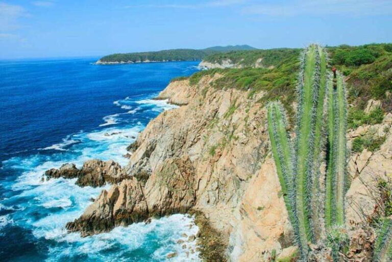 Huatulco: 5-Bay Exclusive Premium Panga Experience - The Itinerary: What You Can Expect