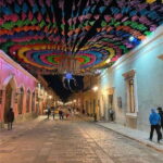 Huatulco: Oaxaca Sightseeing Tour - The Experience and Its Practicalities