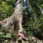 Huatulco: Waterfalls Tour with Buffet Lunch - FAQs