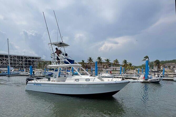 Huatulco Whale & Dolphin Adventures - FAQs