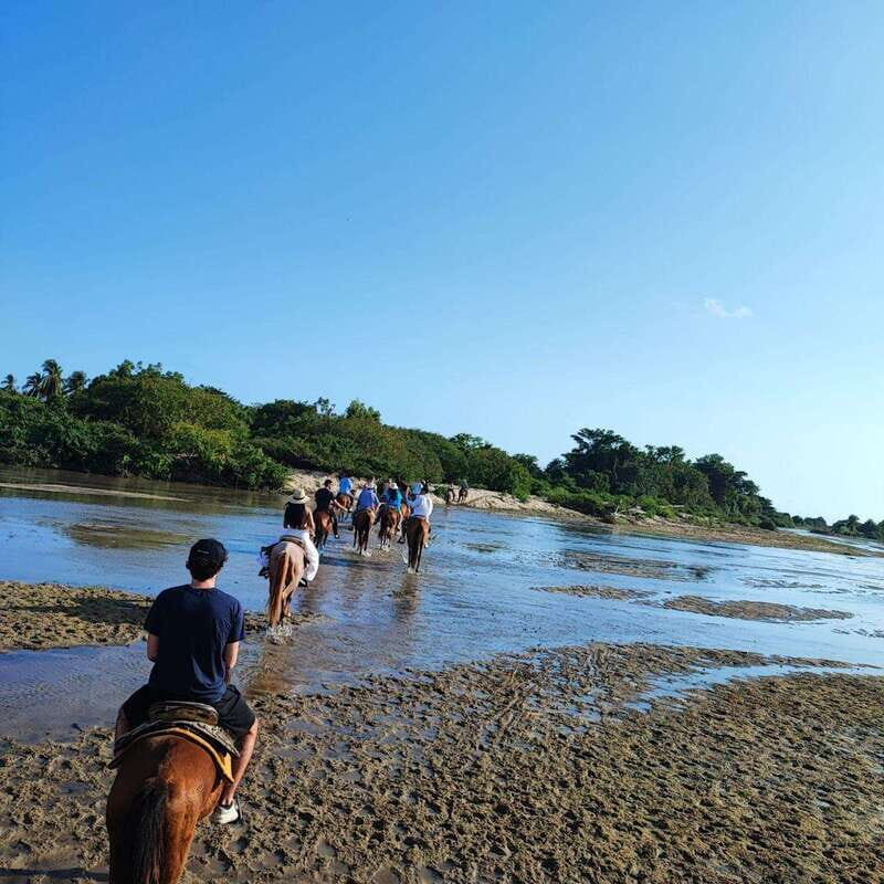 Huatulco:Turtle release,horseback riding and bioluminescence - What Makes This Tour Stand Out?