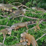 Huatulco:Ventanilla, Zipolite,Mazunte, and Puerto Angel Tour - Relaxing at Zipolite Beach