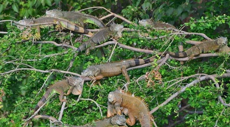 Huatulco:Ventanilla, Zipolite,Mazunte, and Puerto Angel Tour - Relaxing at Zipolite Beach