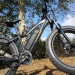 Humboldt: Electric Bike Rentals (4-Hour or Full Day options) - The Itinerary and Local Highlights