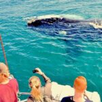 Humpback Whale Watching and Cabo San Lucas Arch Tour - Authentic Experiences and Tips from Reviewers