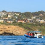 Hunter Coastal Adventure Tour by Boat from Newcastle - Who Would Love This Tour?