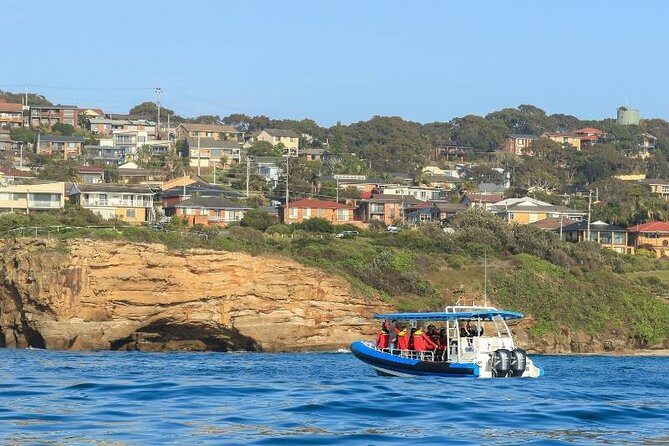 Hunter Coastal Adventure Tour by Boat from Newcastle - Who Would Love This Tour?