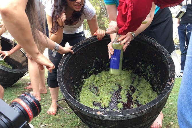 Hunter Valley Grape Stomping - The Value of the Experience