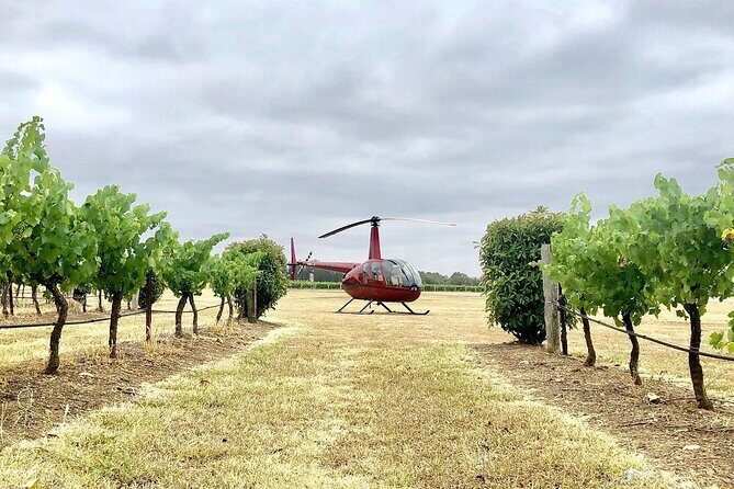 Hunter Valley Helicopter Tour with a Bubbly Breakfast - What to Expect During the Itinerary