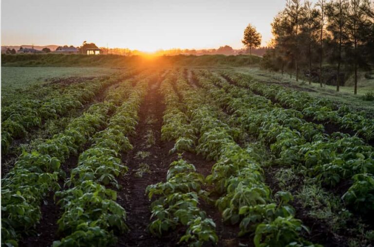 Hunter Valley: Private Day Tour from Sydney with Your Crew! - The Itinerary: What to Expect