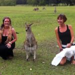 Hunter Valley Private Wine Tasting Tour from Sydney - Who Is This Tour Perfect For?