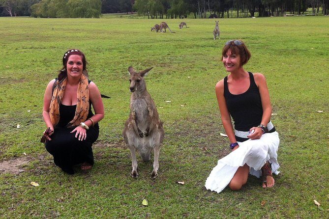 Hunter Valley Private Wine Tasting Tour from Sydney - Who Is This Tour Perfect For?