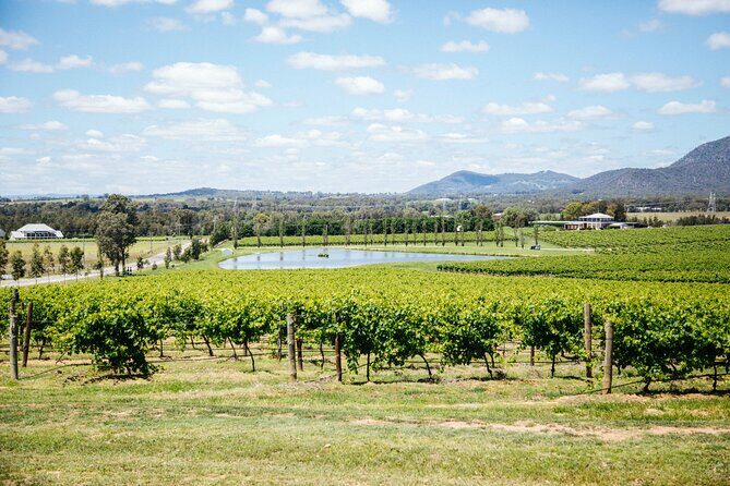 Hunter Valley Wine Tasting Tour from Sydney - Potential Drawbacks and Considerations