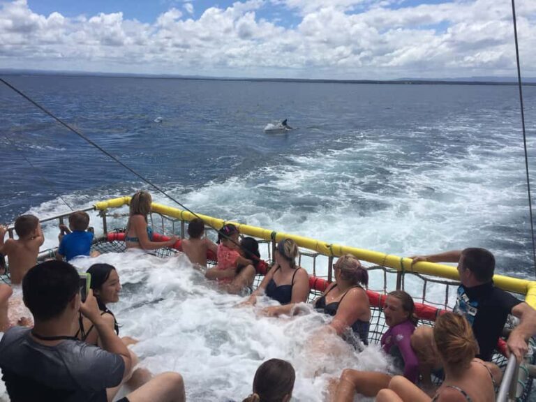 Huskisson: Dolphin Cruise & Boom Netting Experience - Why This Tour Offers Great Value