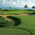 Iberostar Playa Paraiso Golf Club | Tee time Riviera Maya - Who Should Consider This Experience?