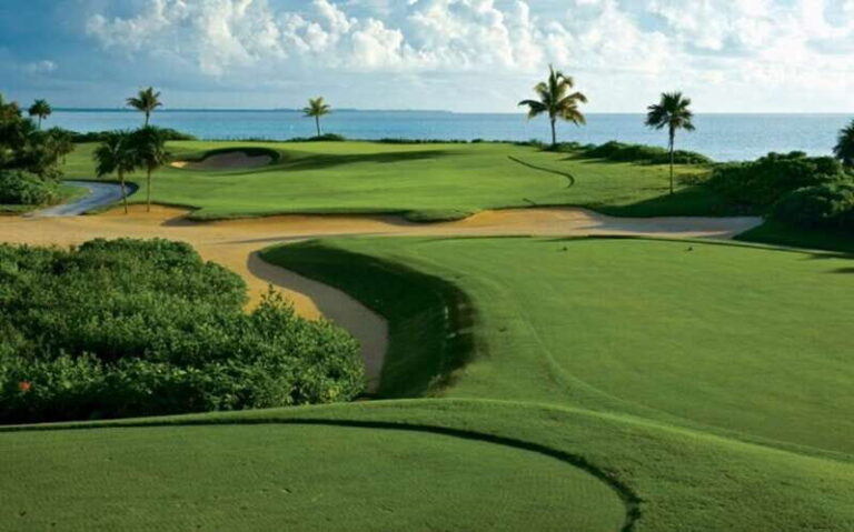 Iberostar Playa Paraiso Golf Club | Tee time Riviera Maya - Who Should Consider This Experience?
