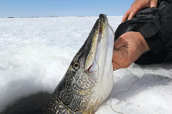 Ice Fishing Tour from Fairbanks - An In-Depth Look at the Ice Fishing Tour from Fairbanks