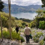Iconic Shore Excursion: Iconic Larnach Castle Tour - Exploring Dunedin’s City Highlights