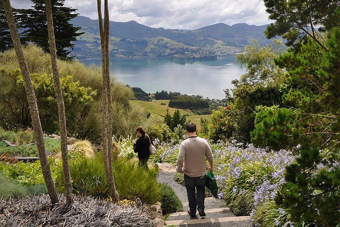 Iconic Shore Excursion: Iconic Larnach Castle Tour - Exploring Dunedin’s City Highlights