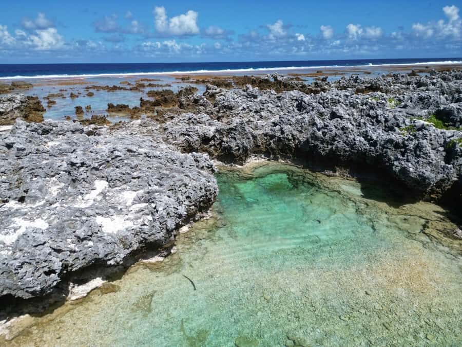 Île aux Récifs and its Natural Pools, Passe de Tiputa, and Aquarium - What Makes This Tour Stand Out?