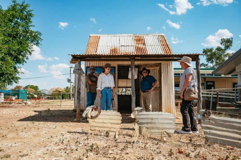 Ilfracombe Tour - Practical Tips for Travelers