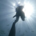 Enjoy paradise: Hidden Beach Snorkeling Adventure - What’s Included and What’s Not