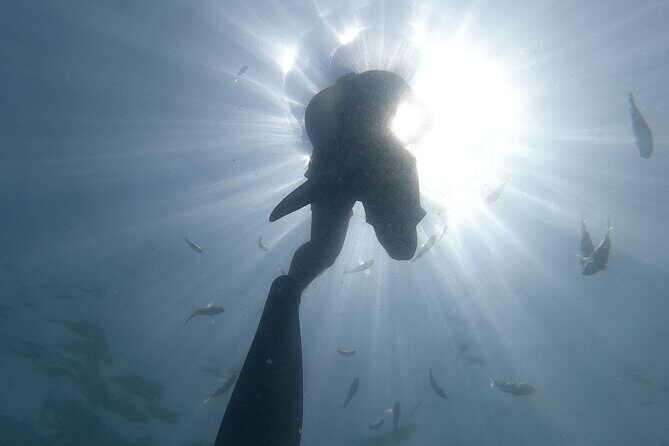 Enjoy paradise: Hidden Beach Snorkeling Adventure - What’s Included and What’s Not