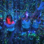 Infinity Attraction - Admission - Final Summary