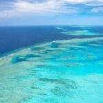 Inner Reef Explorer - 30 minute Reef Scenic Flight - The Experience & Guides: Who Makes It Special?