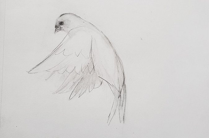 Introduction to Drawing - Practical Details