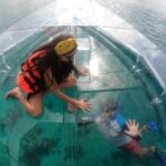 Invisible Boat Snorkeling Tour - Detailed Breakdown of the Experience