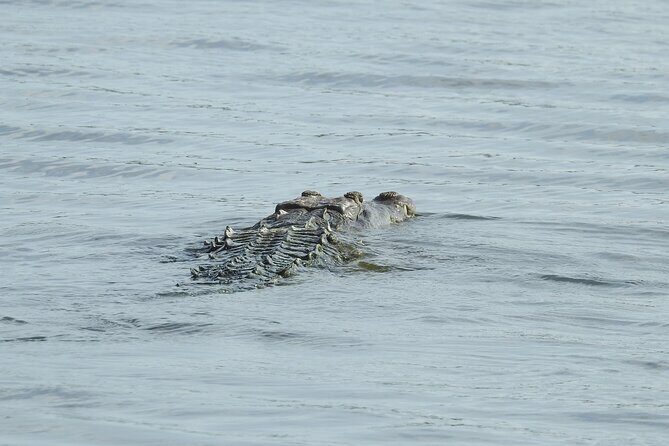 Isla Blanca wildlife expedition private bike & boat tour cancun mexico - Practical Details and Tips