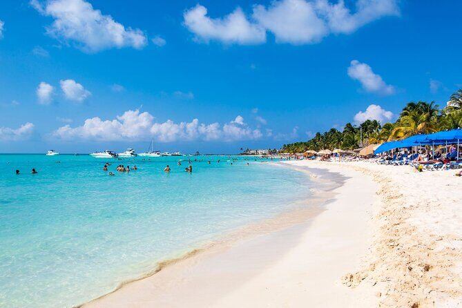 Isla Contoy Experience incl. Breakfast and Lunch - A Detailed Look at the Itinerary and Experience