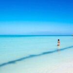 Isla Contoy! Explore a Bird Sanctuary from Cancun - Pricing and Value